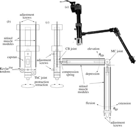 Functional Relations Of The Leg Actuators A Three Degrees Of Freedom