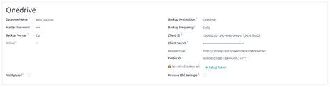 How To Manage Automatic Database Backup In Odoo 18