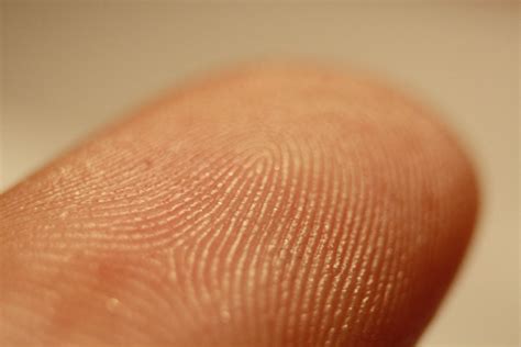 How Fingerprint Sensors Work Ubergizmo