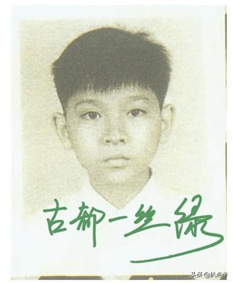 重來不迷劉德華！43歲楊麗娟12年終後悔，如今情歸何處？ 每日頭條