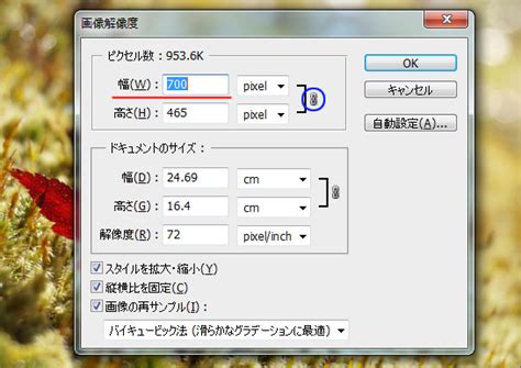 Photoshopで写真や画像のリサイズは超簡単です