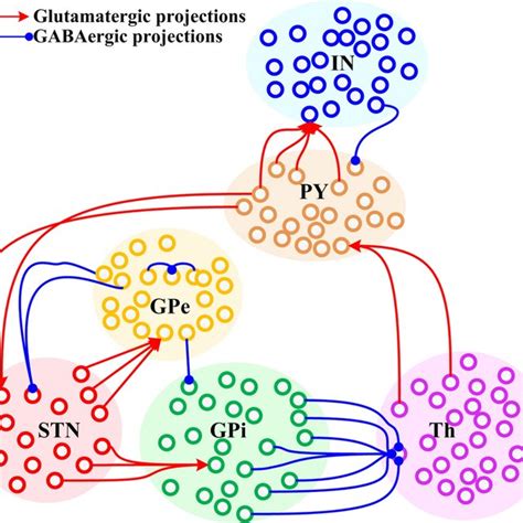 the effect of the stn dbs in the open loop control strategy a the