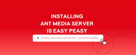Install Ant Media Server Effortlessly Using A Single Command Ant