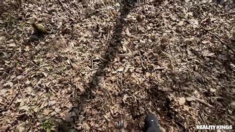 Rkprime 22 10 25 Erica Black And Alexa Flexy Wood In The Woods Xxx 480p