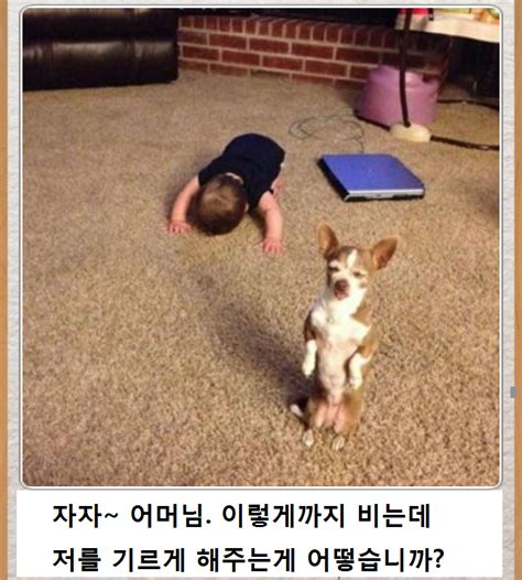 일본 제목학원 최신판 ㅋㅋㅋ 인스티즈 Instiz 이슈 카테고리