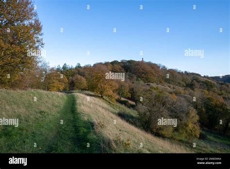 Landscape Photo Of The Autumn Colours At The Admiral Hood Monument On