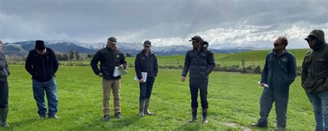 Far Research Check Perennial Ryegrass Growth Stages