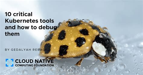 10 Critical Kubernetes Tools And How To Debug Them Cncf