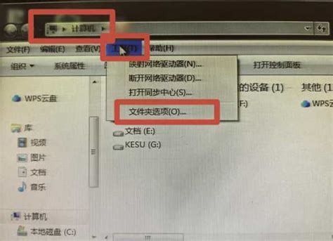Win11如何取消隐藏后缀名？如何显示文件扩展名？ 4425教程网