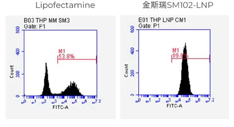 脂质纳米粒（lnp）制剂服务 金斯瑞
