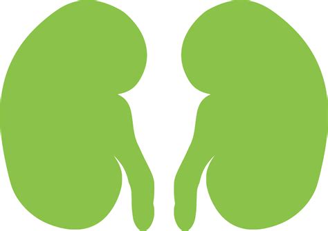 器官 66 Images 免费的svg图像和图标。 Svg Silh