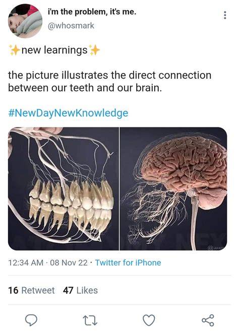 On Twitter Https T Co SCBeBziR J Twitter