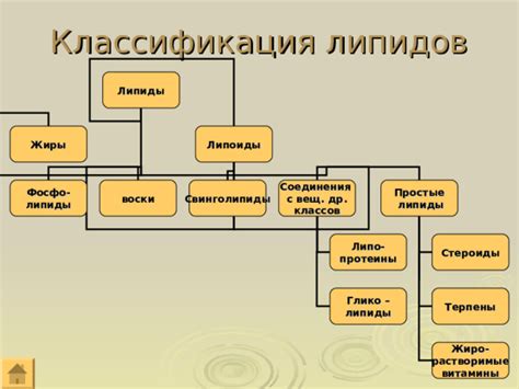 Презентация Химический состав клетки