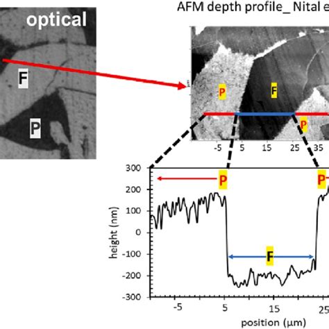 Afm Depth Profile Of Nital Etched Sample Download Scientific Diagram