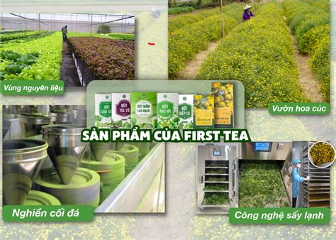 GIỚI THIỆU CÔNG TY
