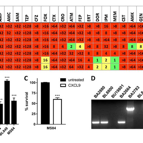 Effects Of Chromosomal Determinants Of Cst Resistance On The