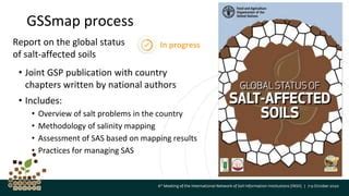 Item Ii Ia Global Soil Salinity Map Christian Omuto PPT