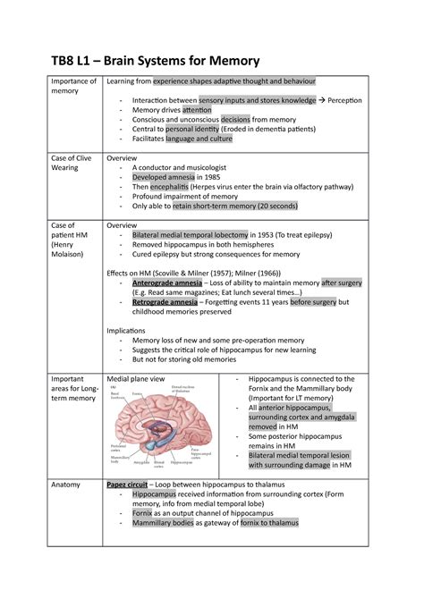 Brain And Behaviour Ii Tb8 All Lectures Tb8 L1 Brain Systems For Memory Importance Of Memory