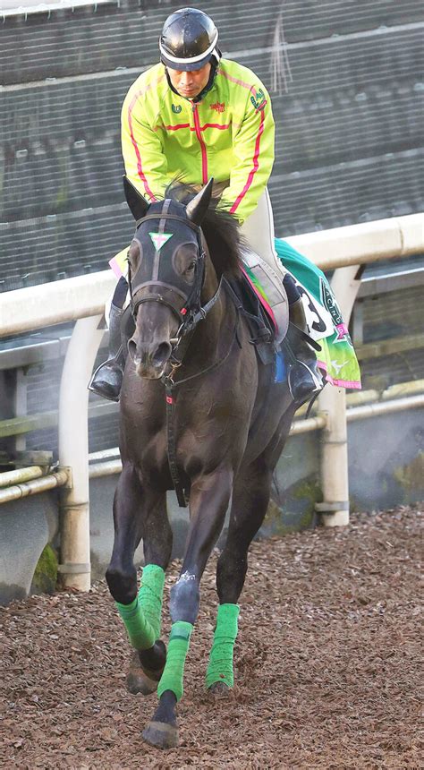 【シルクロードs・吉田の特注馬】今の京都の馬場で頼りになるルガル スポーツ報知