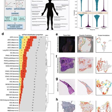 A Machine Learning Model Identifies Conserved Tc And Le Signatures Download Scientific Diagram