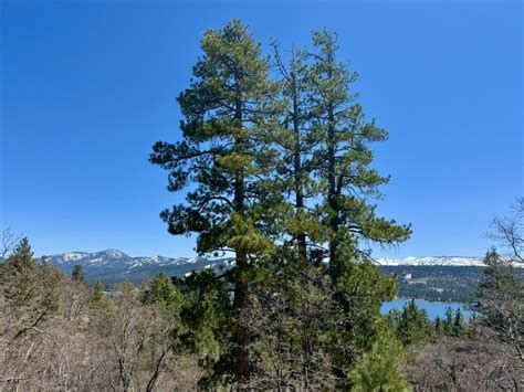 Nicholette And Brian Added A New Photo Nicholette And Brian