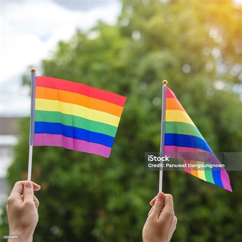 녹색 자연 배경에 Lgbtq 무지개 플래그를 보여주는 손 레즈비언 게이 양성애자 트랜스젠더 및 퀴어 커뮤니티 및 프라이드 월