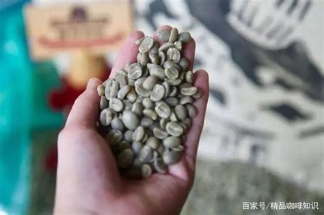 咖啡豆品种 三大产区咖啡豆特点种类风味口感特点的区别 中国咖啡网