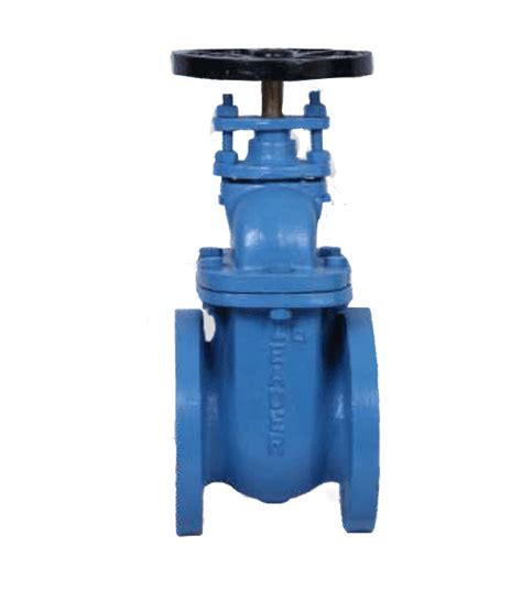 Leader Cast Iron Gate Valve Supplier Dealer Stockist In Mumbai India