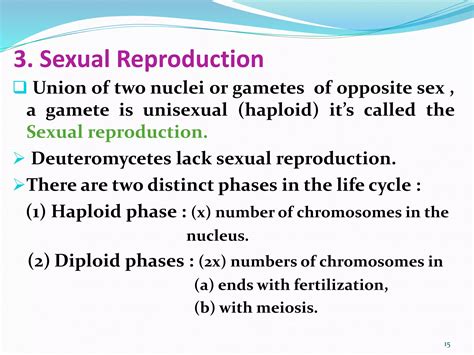 Reproduction In Fungi Pptx