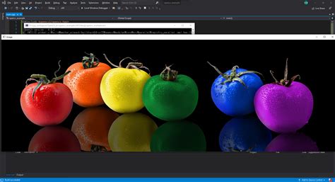 opencv c 이미지 출력해보기