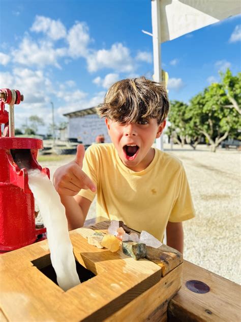 Sparkling Learning How Gem Mining Enriches The Classroom Experience