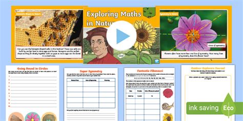 What Is The Fibonacci Sequence Answered Twinkl Teaching Wiki