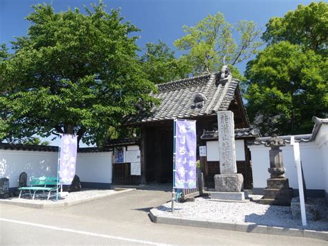 能護寺」のアジサイ2019ほぼ見頃、綺麗に咲いています（埼玉県・熊谷市）』熊谷埼玉県の旅行記・ブログ By Minamicazeさん