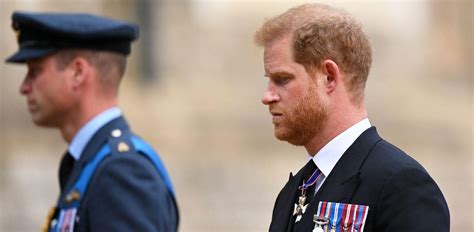 Prince William Hates Prince Harry After The Release Of Spare