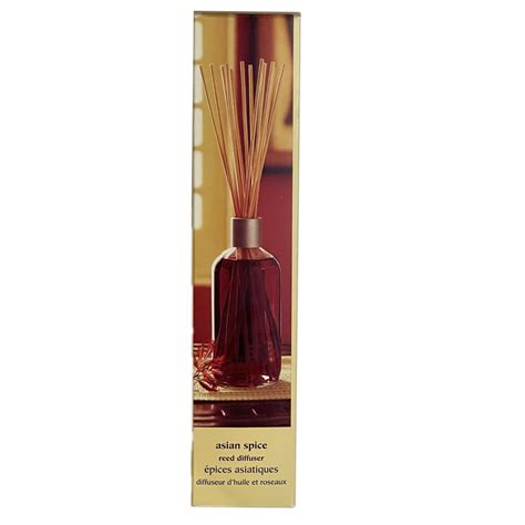 Pier One Aromatherapy Oil Diffusers Mercari