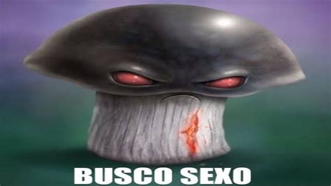 Busco Sexo Youtube