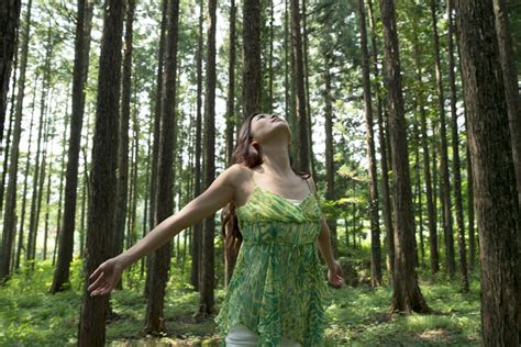 Forest Bathing Global Wellness Institute