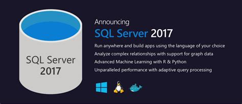 Dr Victoria Holt Life The Universe And Everything Microsoft Dataamp Sql Server 2017