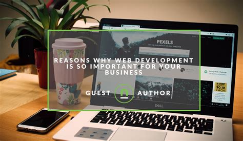 Why Web Development Is Important For Your Business Nichemarket