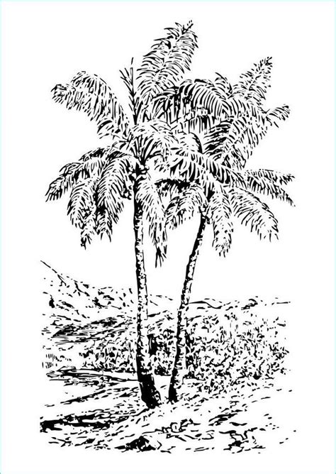 Palmier Coloriage Cool Image Coloriage Palmier Coloriages Gratuits à Imprimer Coloriage