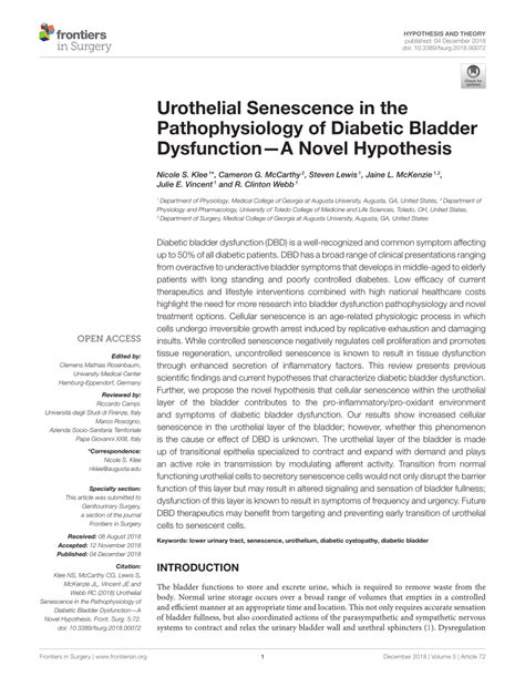 Pdf Urothelial Senescence In The Pathophysiology Of Diabetic Bladder Dysfunction—a Novel
