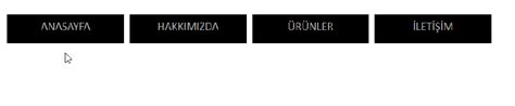 Css Basit Yatay Menü Örneği Web Tasarım And Programlama