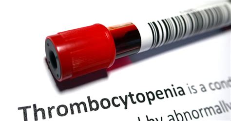 O Lab Pathology Book Health Check Up Packages In Jammu