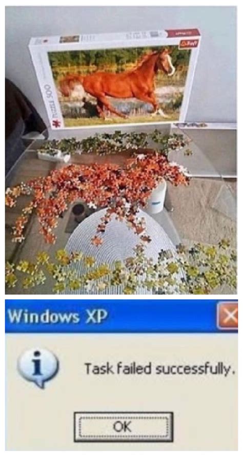 Task Failed Successfully Rmeme