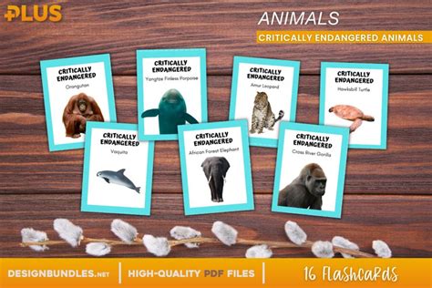 Critically Endangered Animals Educational Cards
