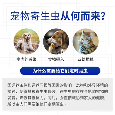猫咪体外驱虫药成幼猫狗狗通用小型犬金毛泰迪去除虱蚤蜱杀虫喷剂虎窝淘
