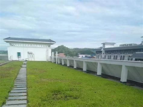 广东省屋顶绿化多久浇水一次佛甲草几月份种植 花海建设 长景园林网