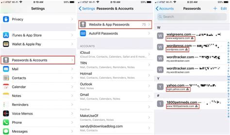 How To Use Password Auditing On Iphone Ipad And Mac