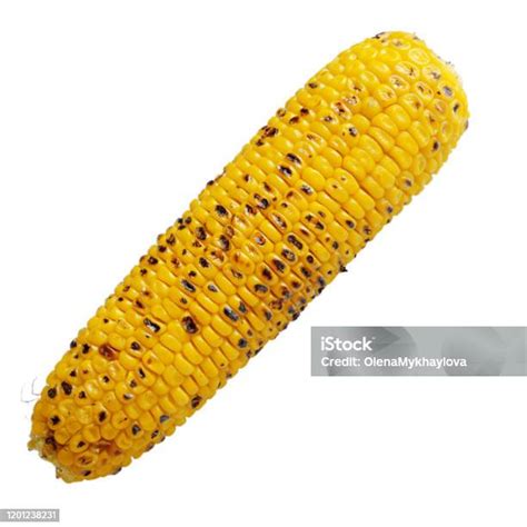 흰색 배경에 고립 된 Cob에 유기농 구운 달콤한 옥수수 클리핑 경로 추가 바베큐그릴에 대한 스톡 사진 및 기타 이미지 바베큐그릴 옥수수 속대 굽기 Istock