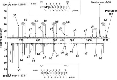 Maldi Toftof Msms Spectra Observed In Caphplc Fractions Of A Tryptic